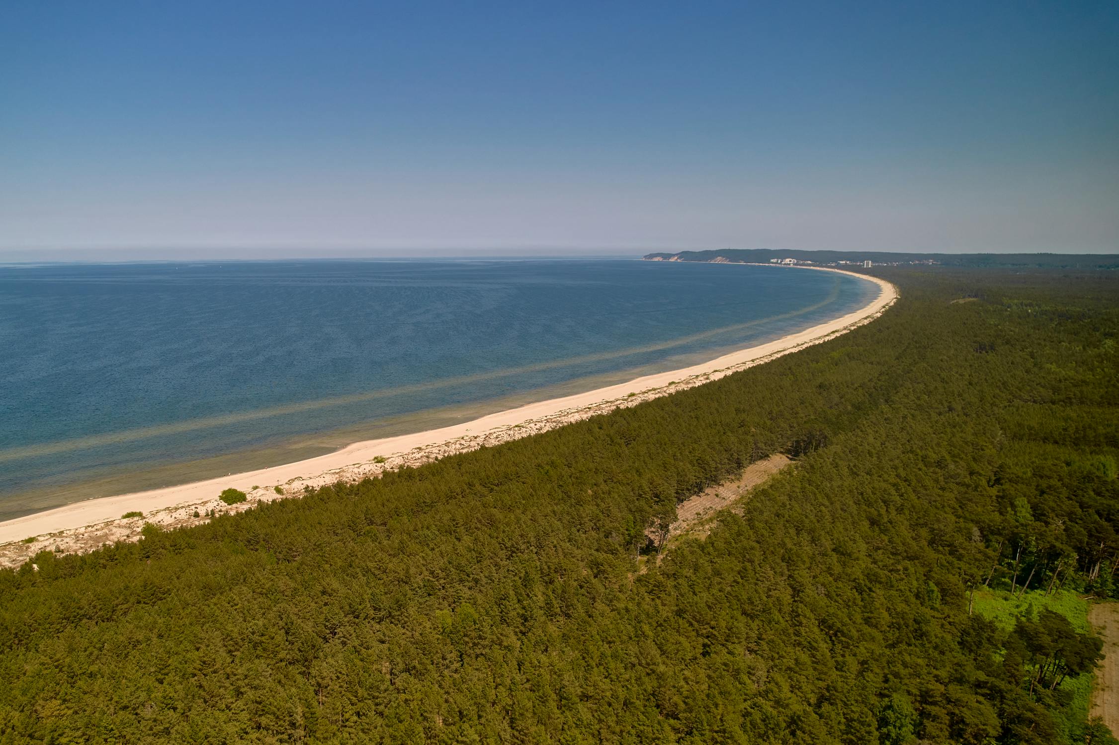 Tusam Hutani Lestari