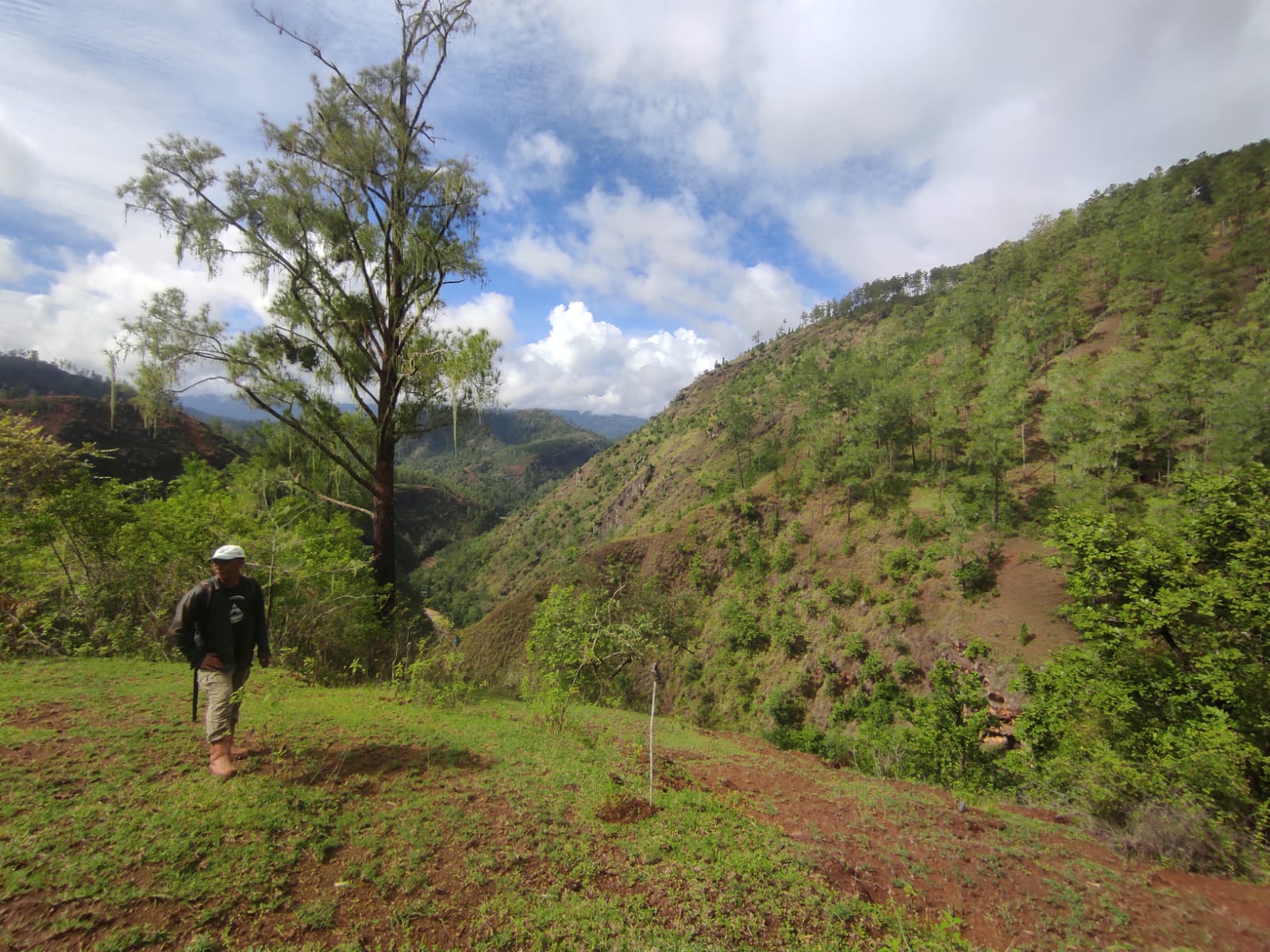 Tusam Hutani Lestari